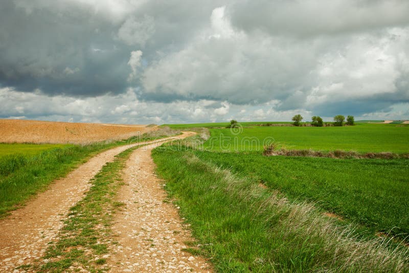 Ground road in jungle stock photo. Image of branch, bamboo - 41053300