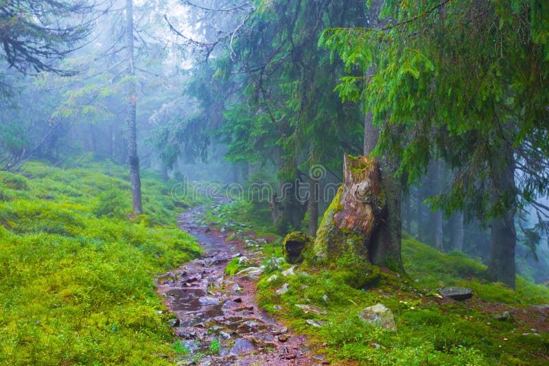 Road through Forest in Blue Mist on Mountain Slope Stock Photo - Image ...