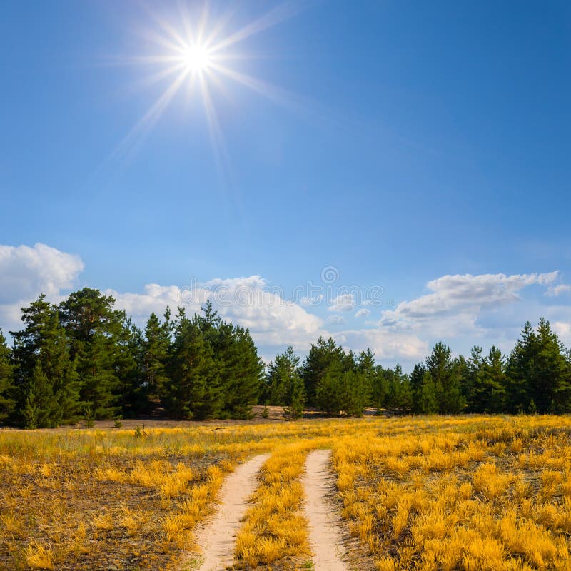 Ground Road among Prairie at he Summer Day Stock Image - Image of ...