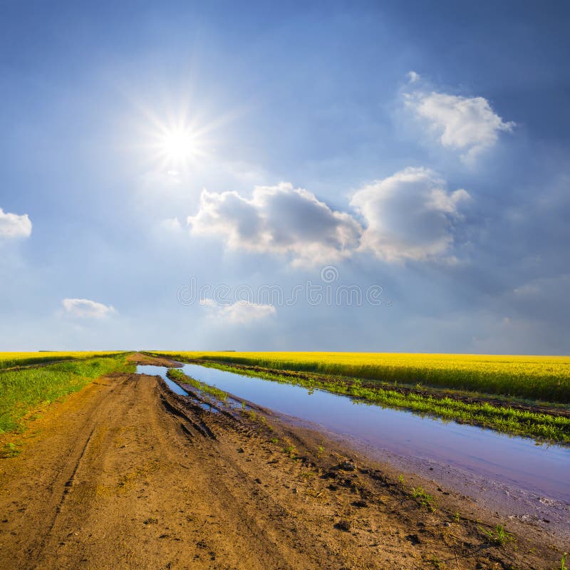Ground Road among Rural Fields at the Summer Sunny Day Stock Image ...