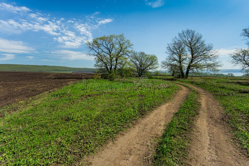 Ground Road in Summer Sunny Day Stock Image - Image of plant, russia ...