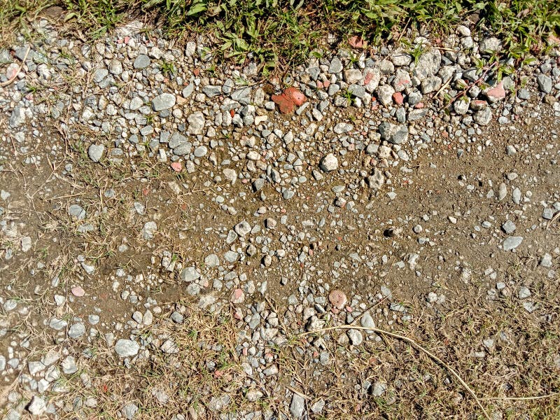 Ground Road Surface Background Stock Image - Image of wildlife, plant ...