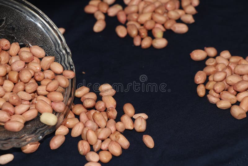 Ground Seed Eating Fresh Food Stock Photo - Image of shape, closeup ...