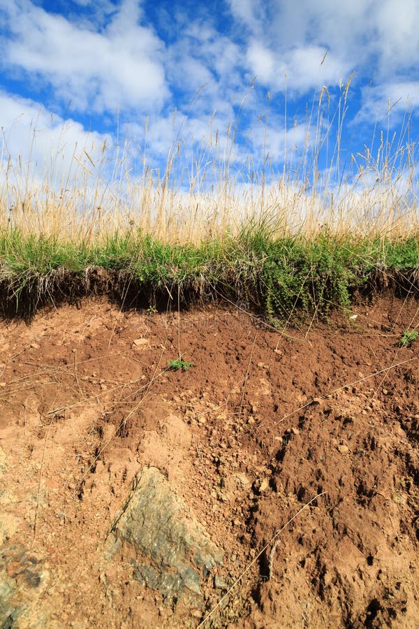 Ground and sky stock image. Image of wasteland, seeds - 44588319