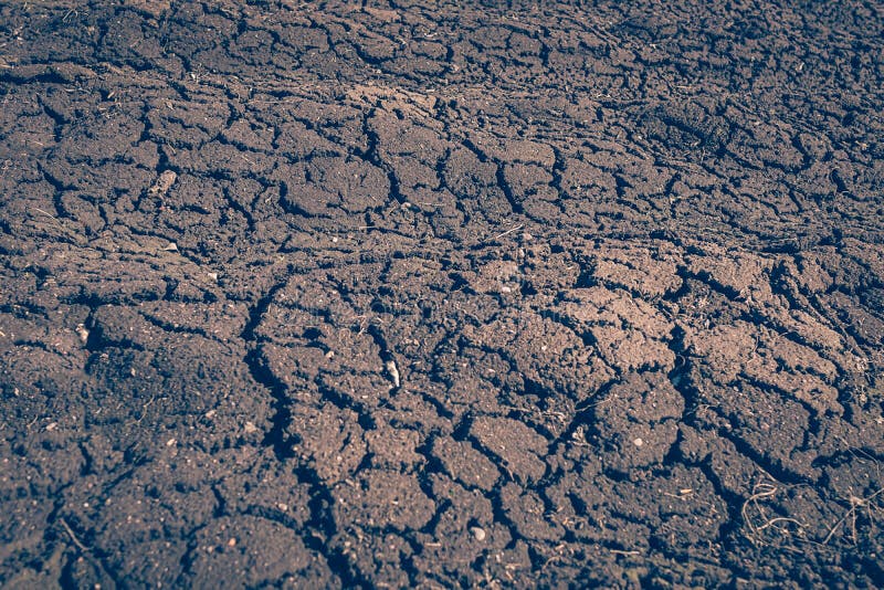 The Ground is Soil Cracked after Winter. View from Above. Textured ...