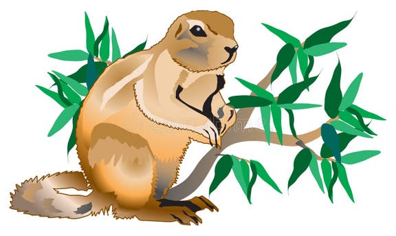 Ground Squirrel Stock Illustrations – 9,219 Ground Squirrel Stock ...