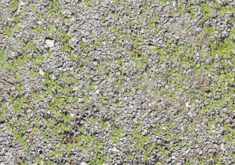Ground Stone Grey Background of Many Small Stones Stock Photo - Image ...