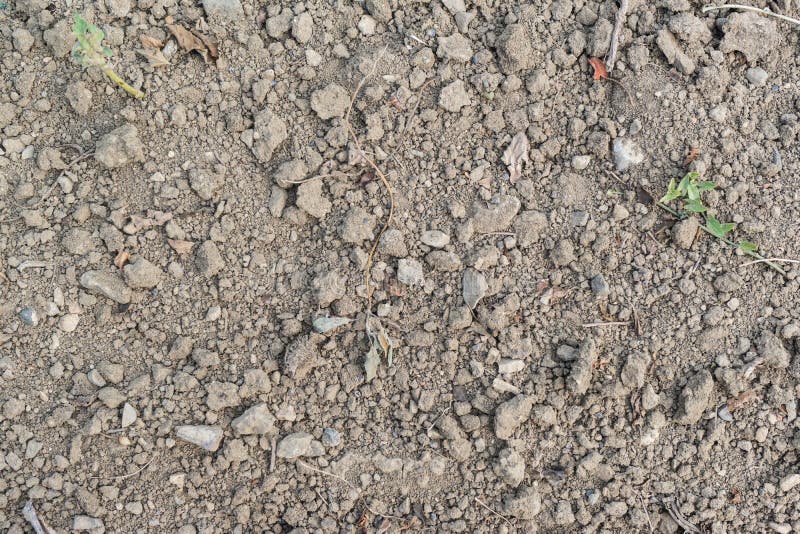 Ground with stones stock photo. Image of nature, element - 102407190
