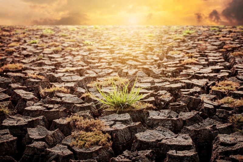Ground at the sunset. stock image. Image of life, climate - 121377939