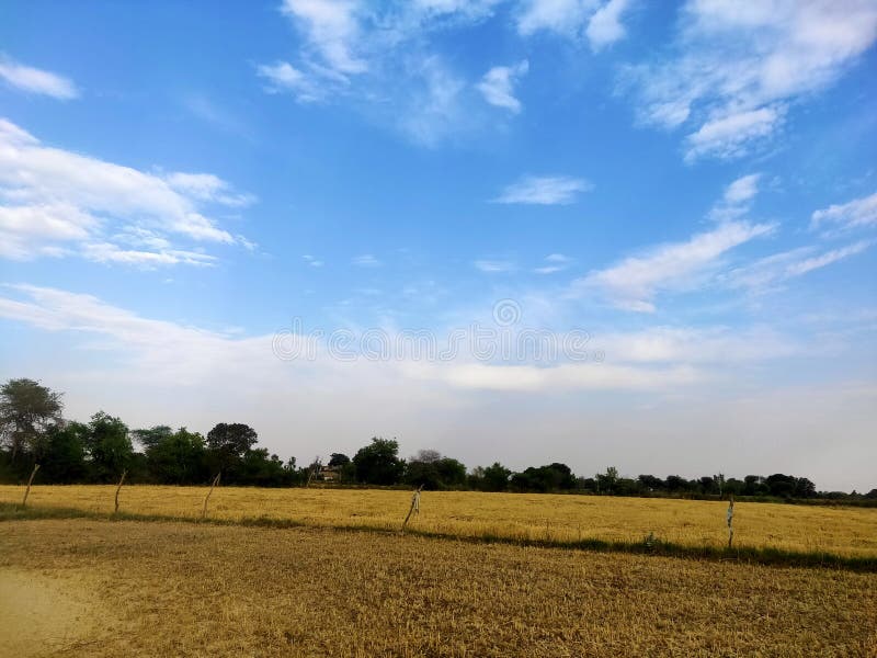 Ground, Sunshine Osm Place, Sky View Stock Image - Image of agriculture ...
