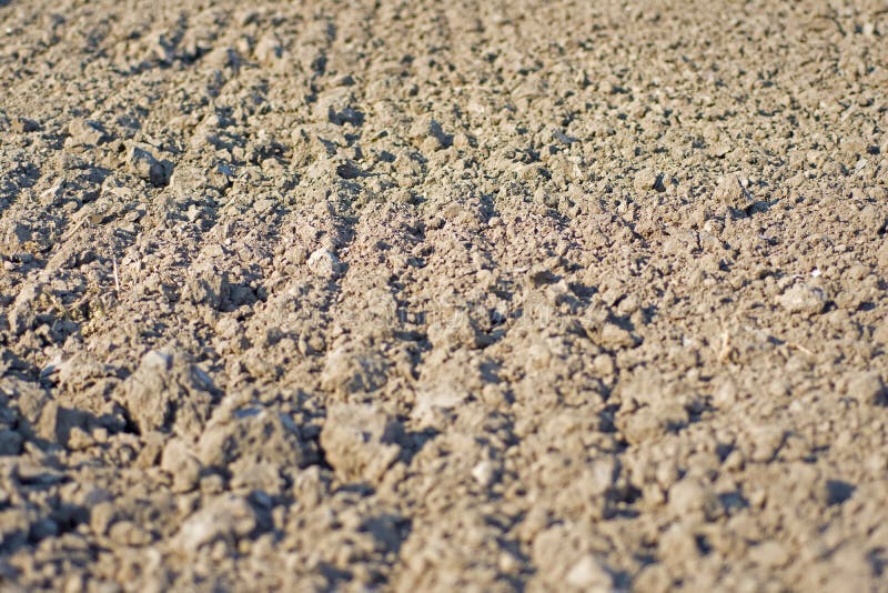 Ground Texture Background. Cultivated Land. Soil Background. Stock ...