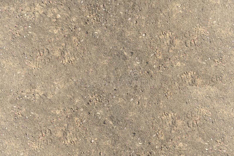 Ground Texture - Fragment of Ground with Dried Grass and Weeds Stock ...