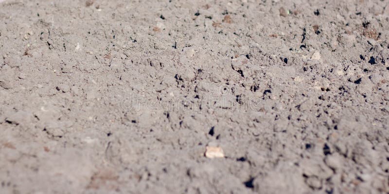 Ground texture closeup stock photo. Image of farm, brown - 180975386
