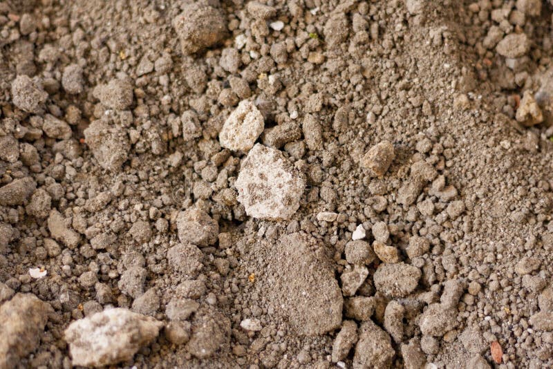 Ground texture stock photo. Image of earth, brown, grit - 76282294
