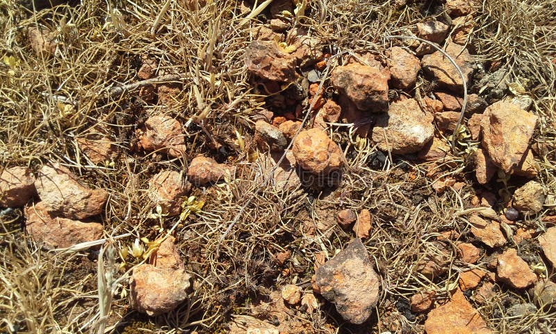 Ground texture stock photo. Image of geologic, grass - 115759406
