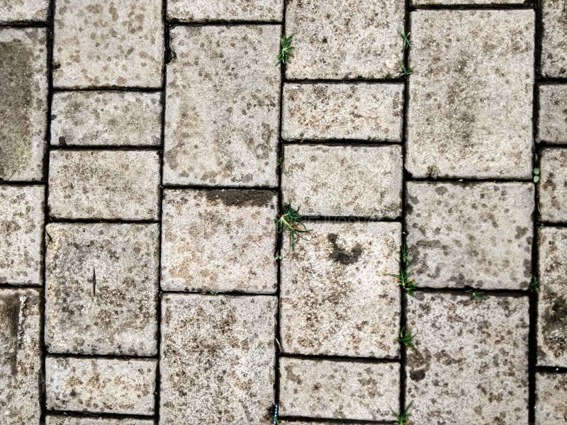 Ground Texture with Grey Bricks Stock Photo - Image of cinematic ...