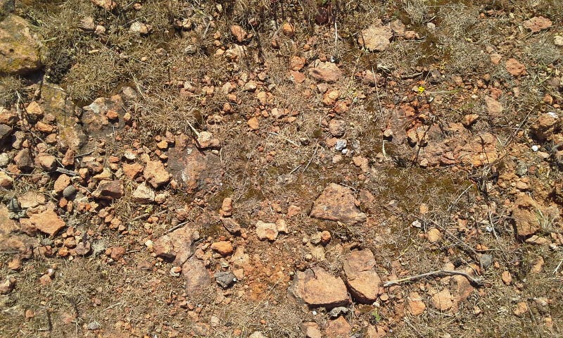 Ground texture stock photo. Image of natural, geologic - 115758994