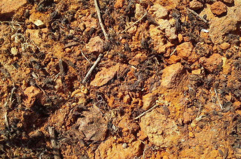 Ground texture stock photo. Image of geologic, texture - 115759176