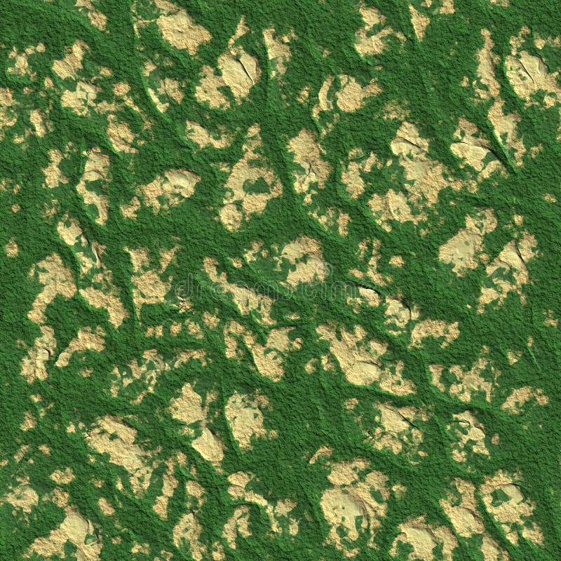 Ground texture. Seamless. stock illustration. Illustration of organic ...