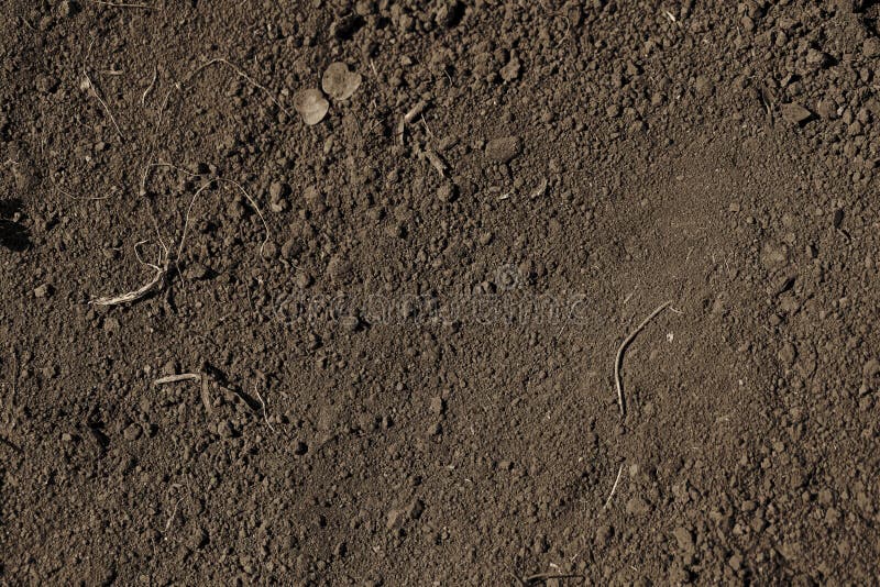 Ground Texture. Top View of Dark Soil Surface. Earth Background with ...
