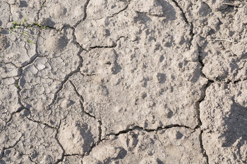 Ground textured background stock image. Image of nature - 9462907