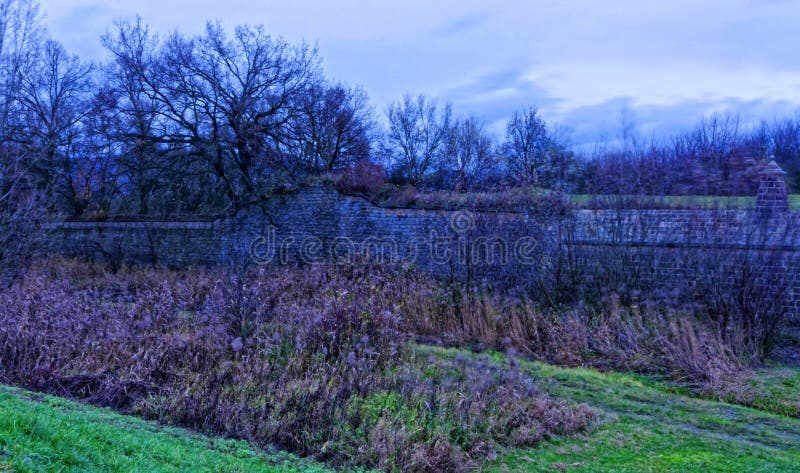 Ground with Trees and Wall Looks Gloomy Stock Image - Image of grass ...