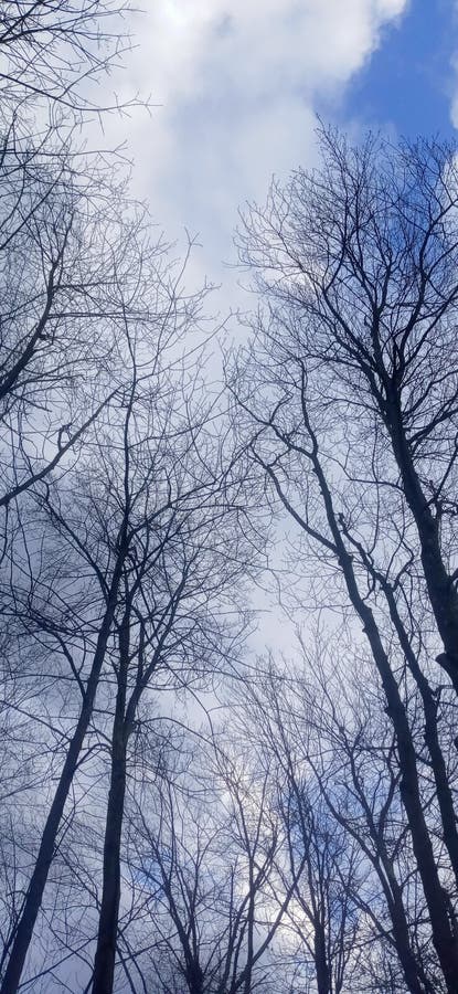 Upwardfall Stock Photos - Free & Royalty-Free Stock Photos from Dreamstime