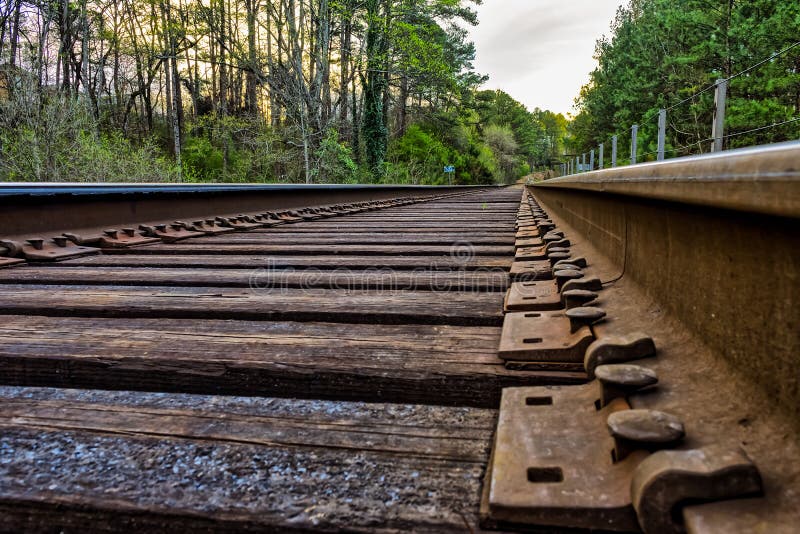 Ground View of Old Rail Road Tracks Stock Photo - Image of light, green ...