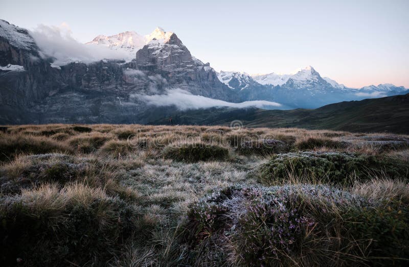 Ground View Shot of a Beautiful Natural Landscape Stock Image - Image ...