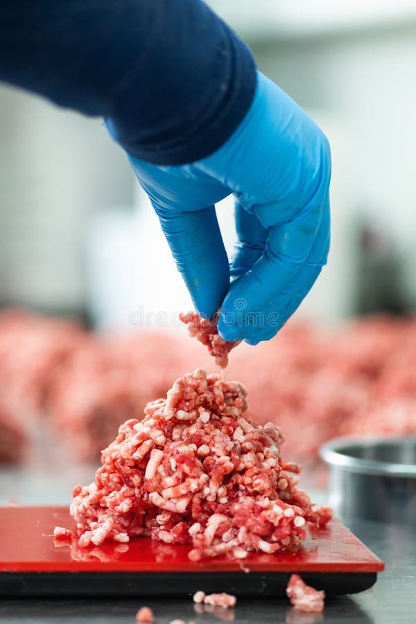 Grounded Beef Meat Weighing on a Scale in a Large Restaurant Stock ...