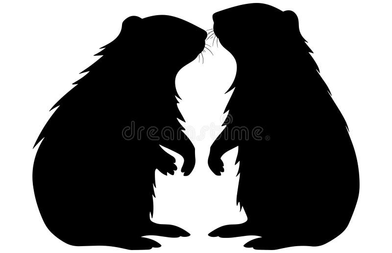 Groundhog Couple Silhouette Design Groundhog Couple Black Vector Design Stock Vector