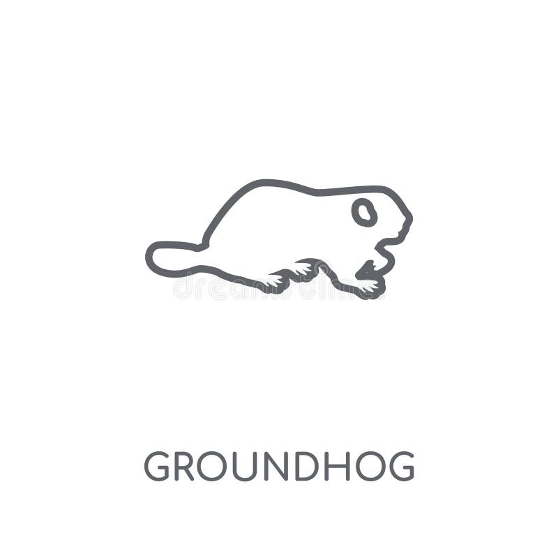 Groundhog Linear Icon. Modern Outline Groundhog Logo Concept on Stock ...