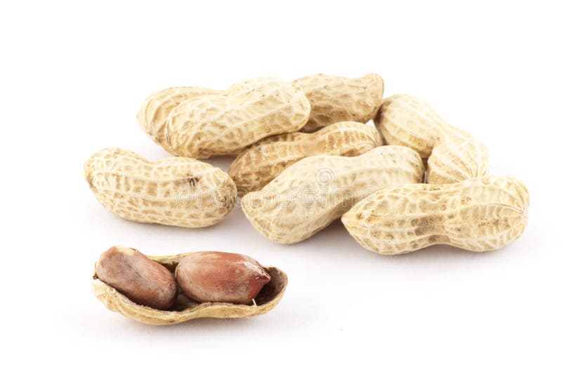 Groundnut stock image. Image of healthy, natural, nutrition - 48716579