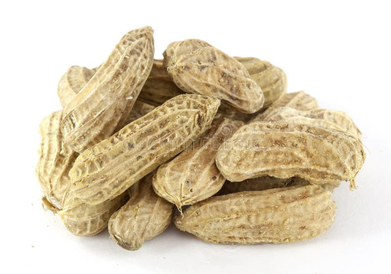 Groundnut stock image. Image of macro, healthy, isolated - 25435503