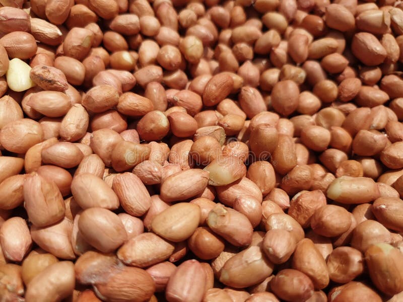 These are the groundnut stock photo. Image of groundnut - 194326142