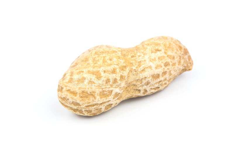 Two groundnuts stock image. Image of healthy, agriculture - 48947613