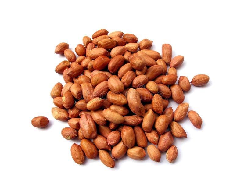 Groundnut-Isolated stock image. Image of nutritional - 17262147