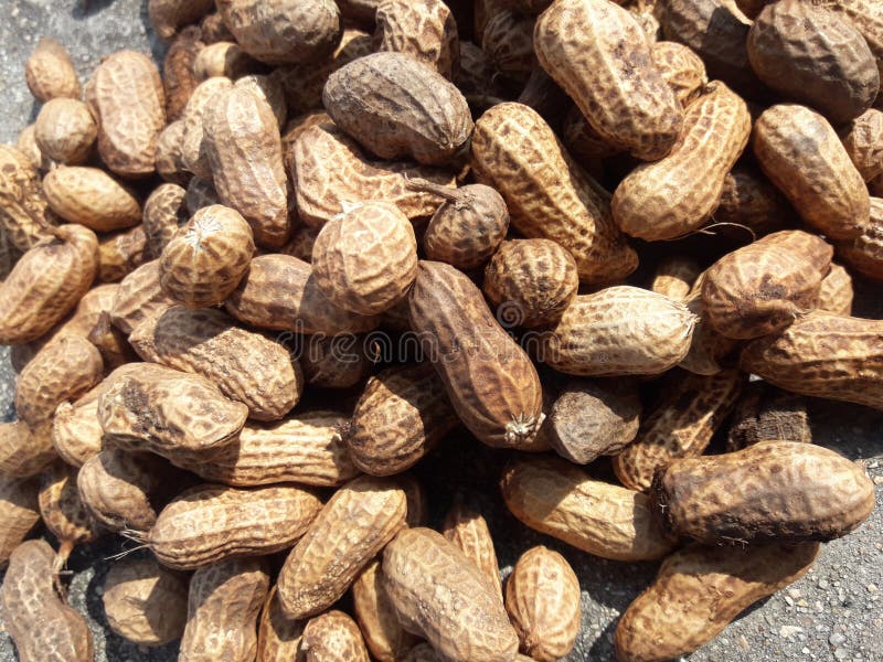 Image of Ground, Textured Background Image Stock Photo - Image of ...