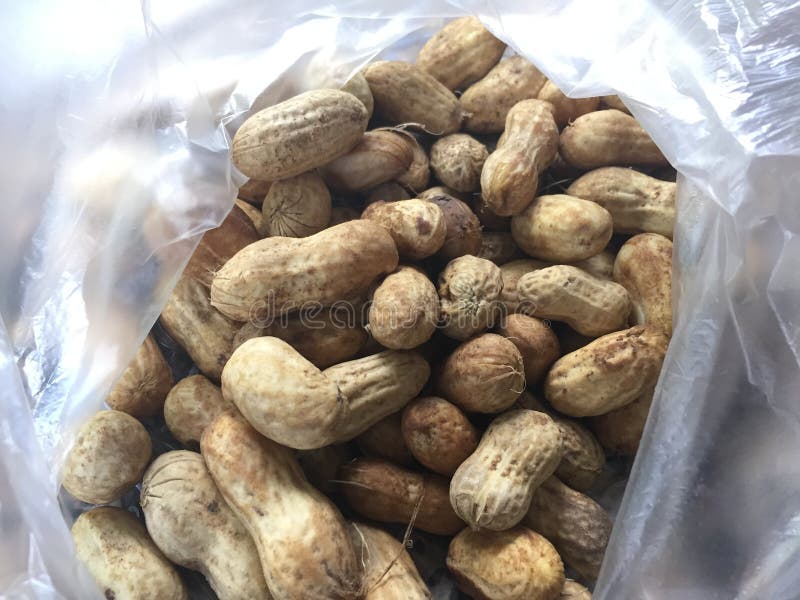 599 Groundnut Bag Stock Photos - Free & Royalty-Free Stock Photos from ...