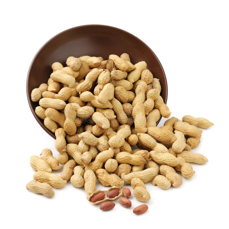 Groundnut stock image. Image of white, healthy, isolated - 20097195