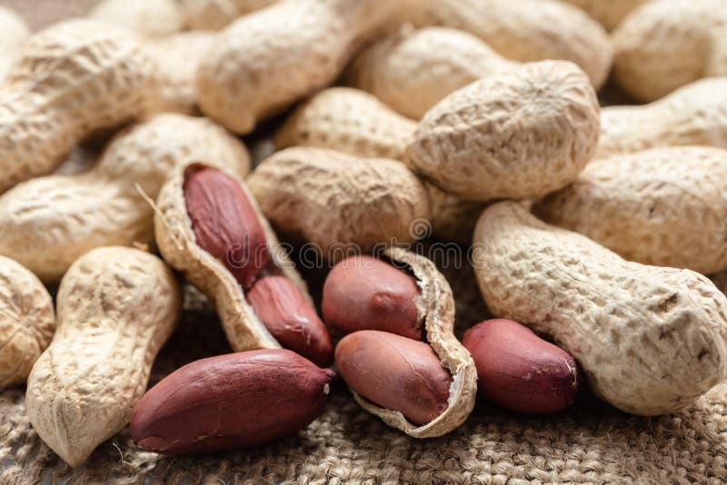 Groundnut in the Skin Close-up Stock Photo - Image of peel, choice ...