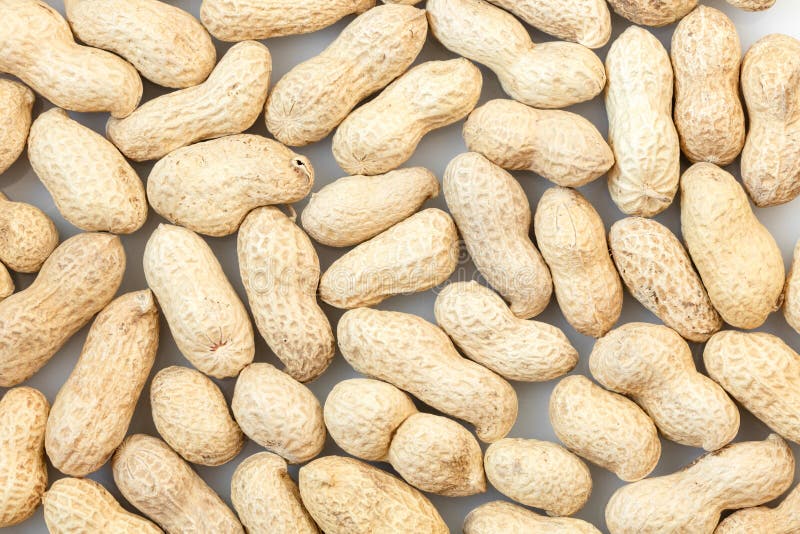 Groundnut in the Skin Close-up Stock Photo - Image of background ...