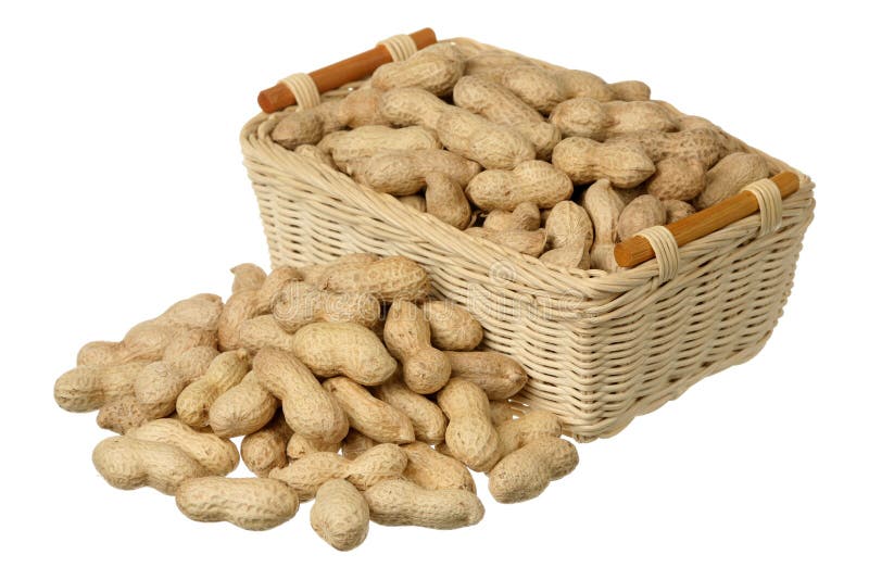 Groundnuts stock photo. Image of container, groundnut - 18975544