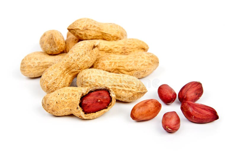 Groundnuts stock photo. Image of nobody, nutshell, crack - 19623598