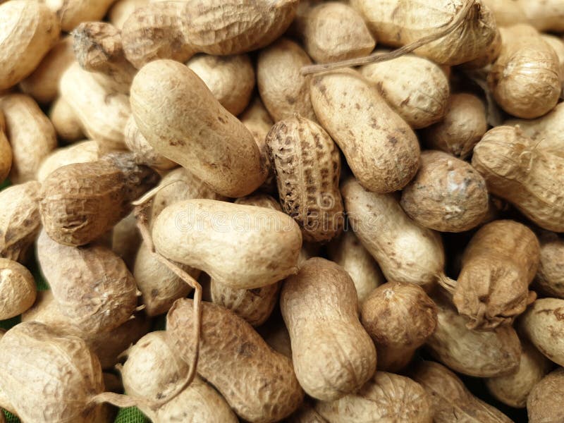 Picture of Raw Groundnuts or Peanuts Stock Image - Image of decoration ...