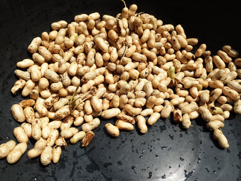 Picture of Raw Groundnuts or Peanuts Stock Image - Image of decoration ...
