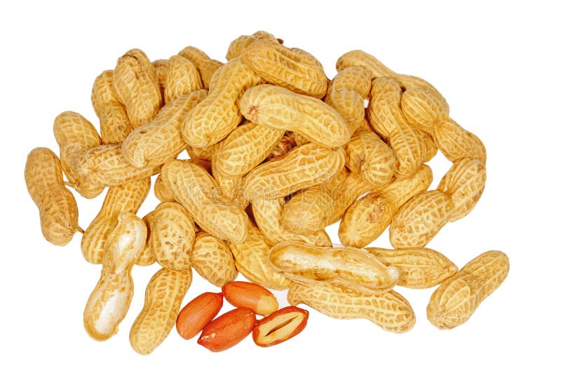 Groundnuts stock image. Image of closeup, produce, detail - 21583373