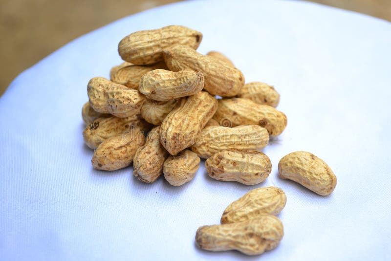 Fresh Groundnuts in the Water on the Pot Preparing for Boiling. Peanut ...