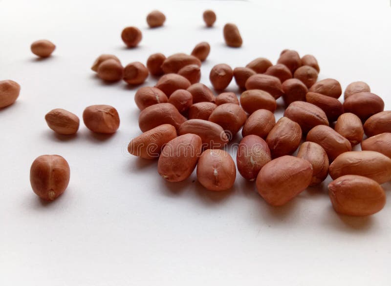 Groundnuts stock image. Image of object, covered, fruit - 98846601
