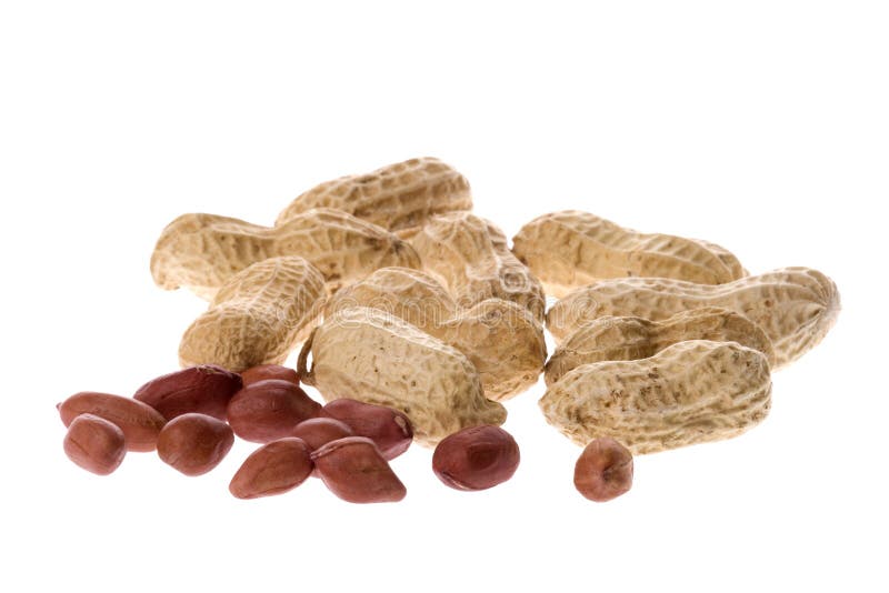 Groundnuts Isolated stock image. Image of closeup, food - 6157379